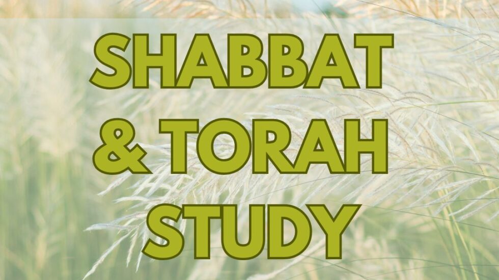 Shabbat Service & Torah Study | Devarim - Beyt Tikkun